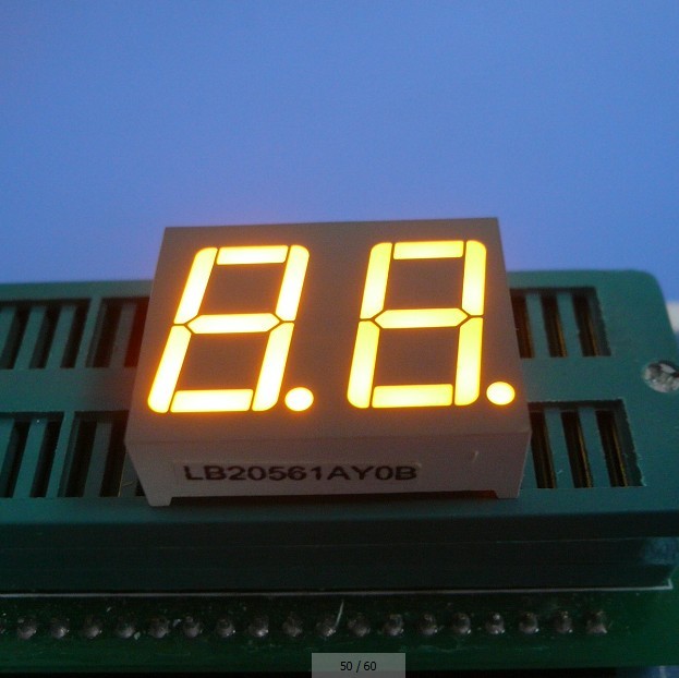 Ultra White 2 Digit 7 Segment Display 10 Pins 0.56 inch Cathode For ...